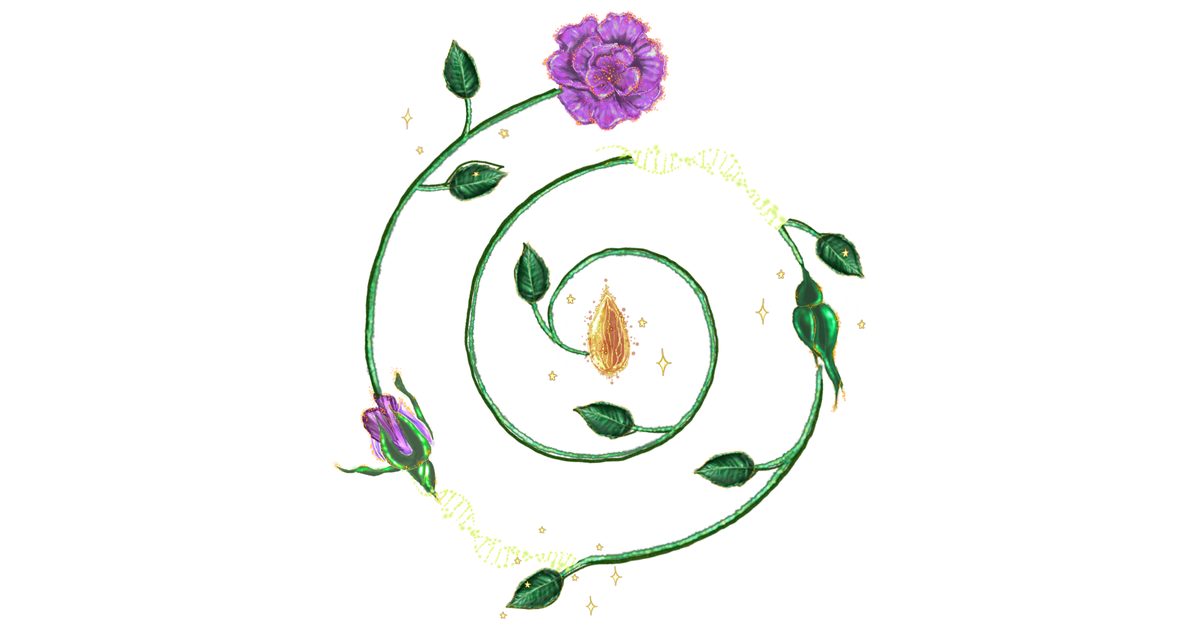 Lilly Prinz Illustration & Design – Lilly Prinz Illustration & Design
